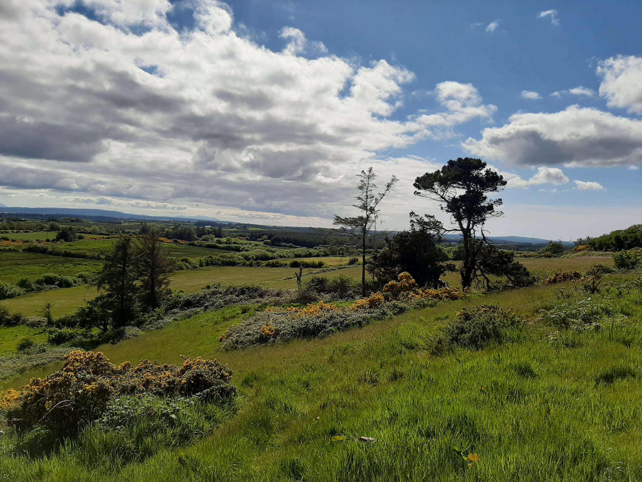 Exploring our Parish – Killimer Local History