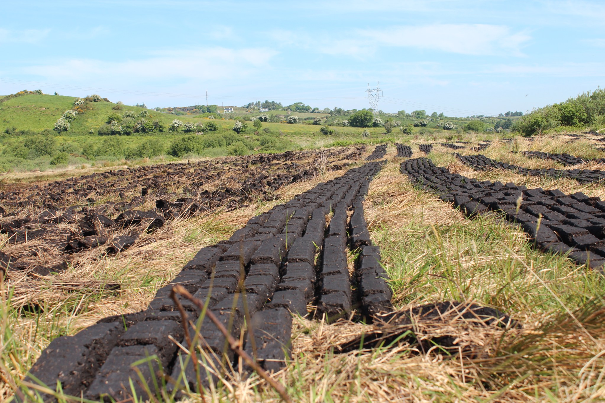 Exploring our Parish – Killimer Local History