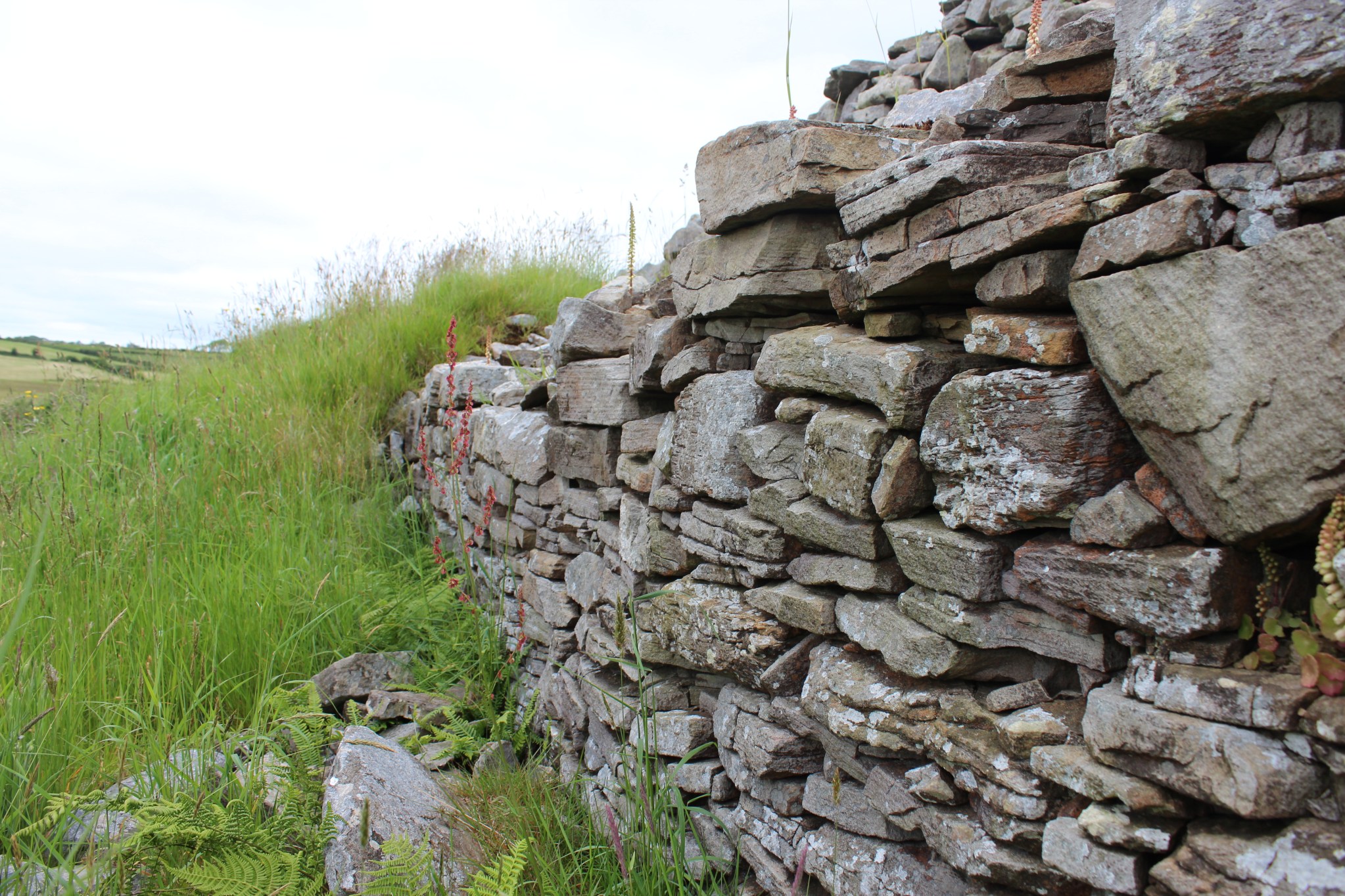 Exploring our Parish – Killimer Local History